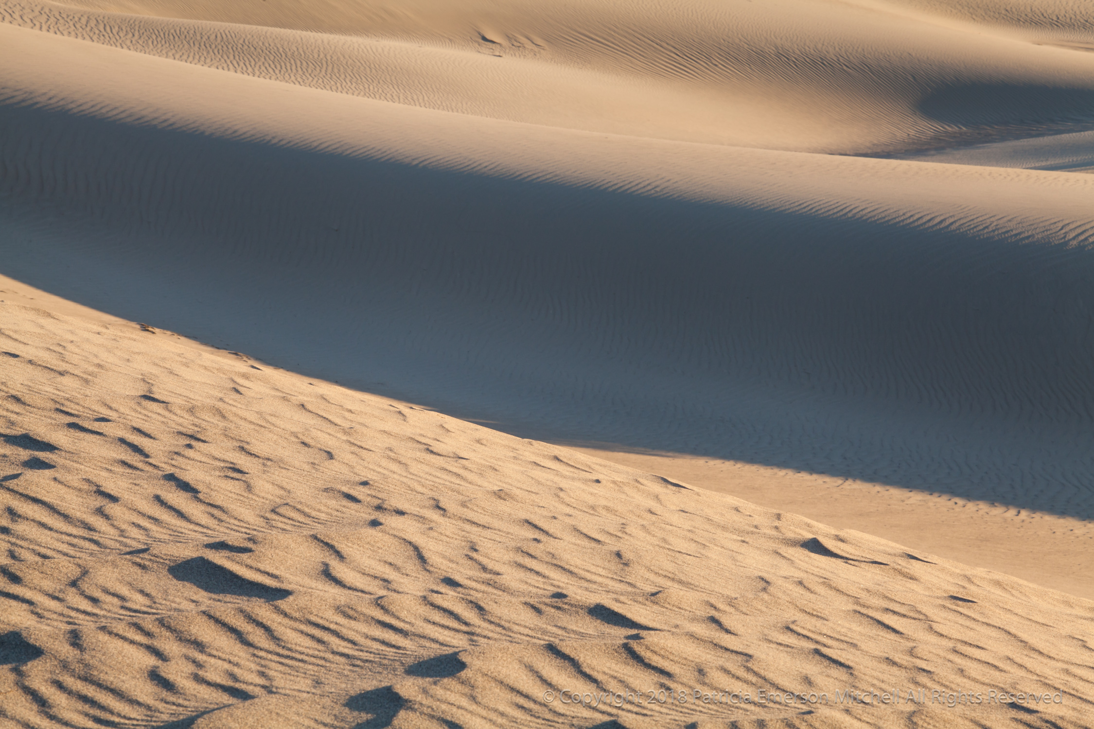 Revisiting The Desert – patricia emerson mitchell photography